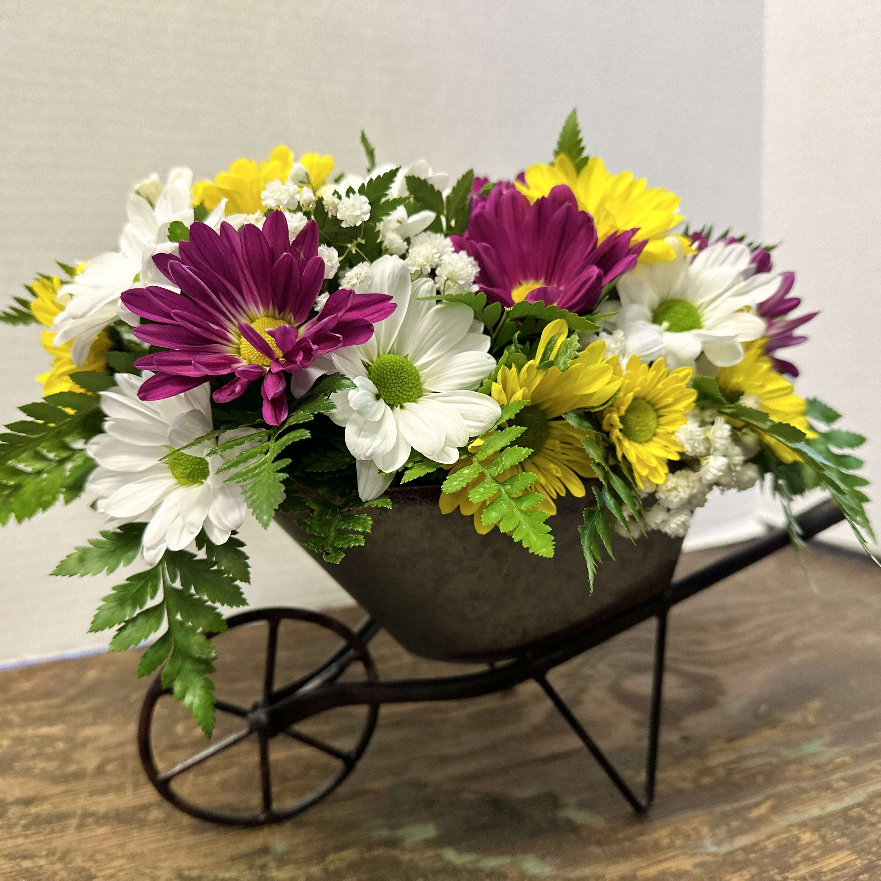 Wagon Full of Daisies Flower Delivery Claremont NH - Putnam's Colonial ...