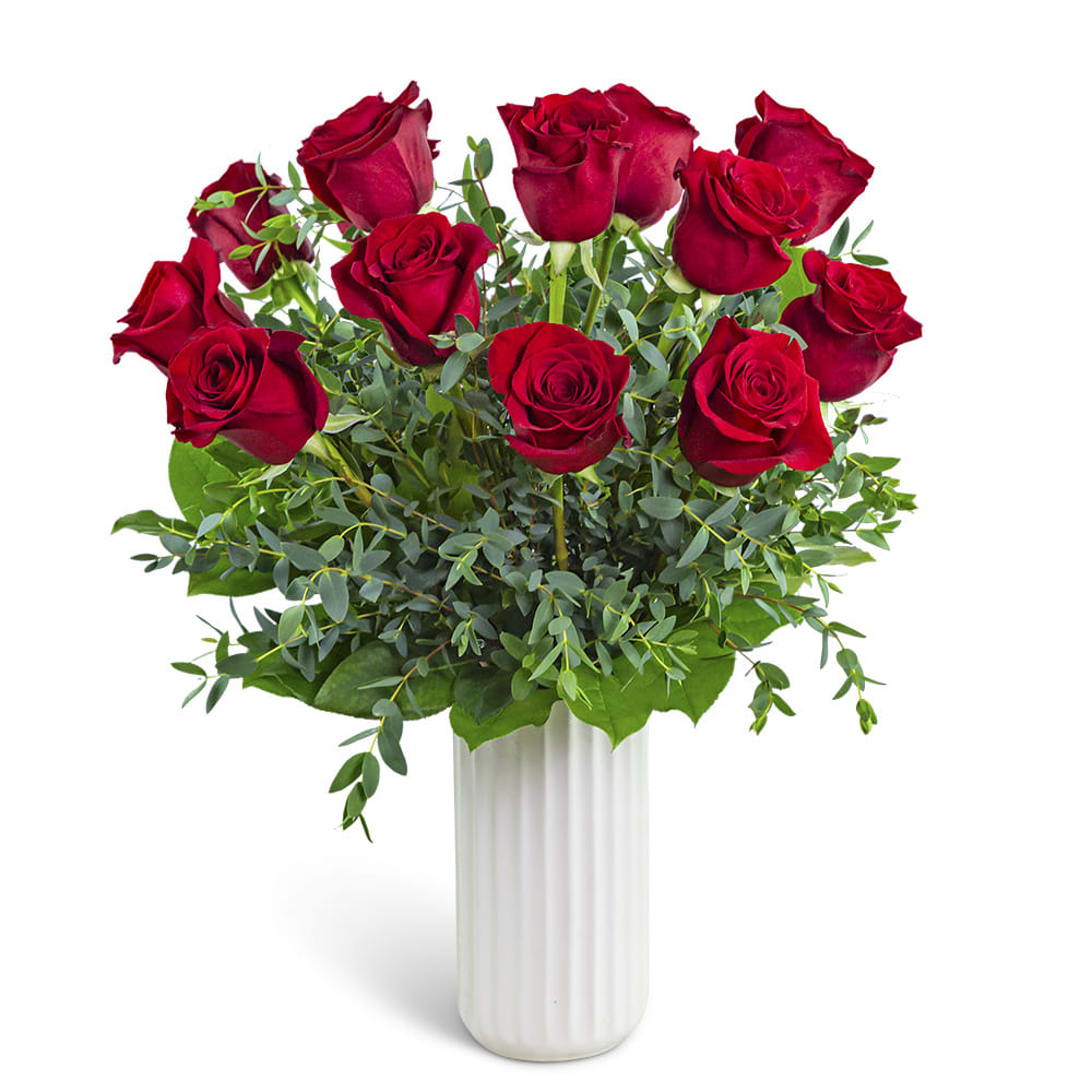 One Dozen Ruby Red Roses Flower Delivery NorthCanton OH - Seifert's ...