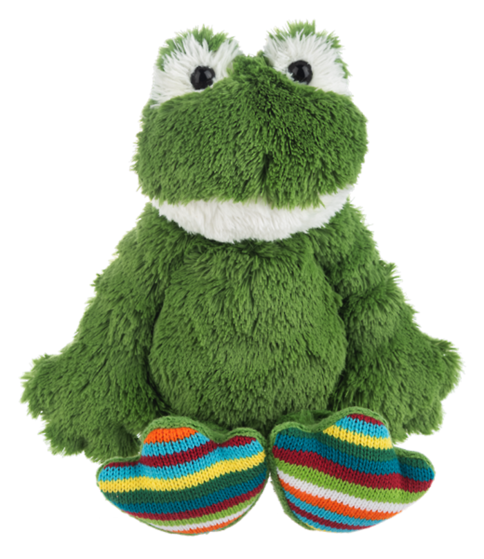 Froggle Frog arranged by a florist in Avon, NY : Avon Floral World ...