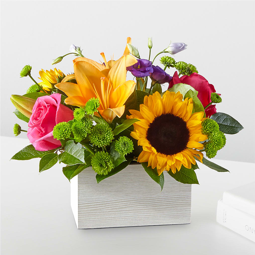 Explore All Our Categories | Athens Flowers & Design - Florist in ...