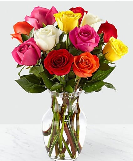 Dozen Mixed Roses | Fresh Rose Delivery in Meridian, MS | Saxon’s Flowers