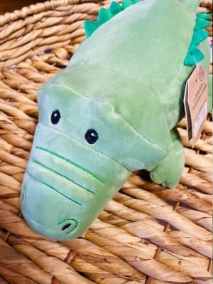 Squishy Alligator Flower Delivery Dickinson TX - Crowder-Deats Flowers ...