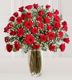 Premium 3 Dozen Long Stemmed Red Rose Bouquet : Middleboro, MA Florist ...