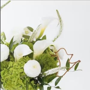 Elsa - ATL in Atlanta, GA | William Paul Floral Design ATL