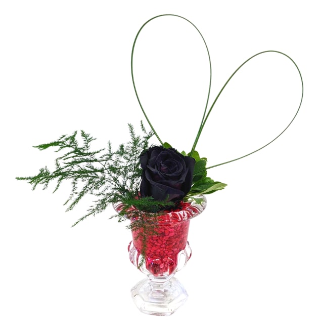 Baroque Onyx Rose R-205 | Fiesta Flowers Plants & Gifts