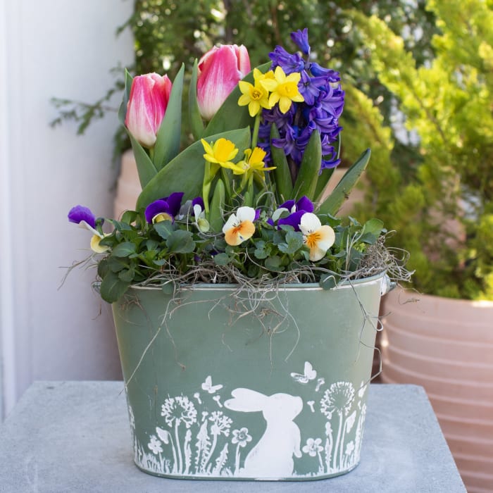 Spring Bunny Planter Flower Delivery West Chester PA - Matlack Florist