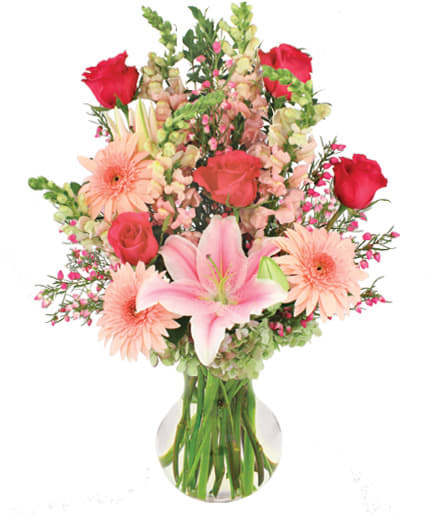 Gainesville Florist - Flower Delivery by Adams Flower Shop