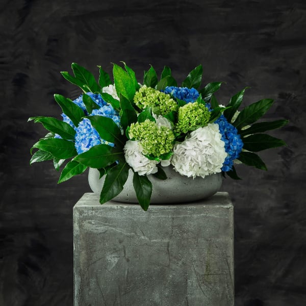 Irvine Florist | Flower Delivery by Irvine Florist - Ivory Florist ...