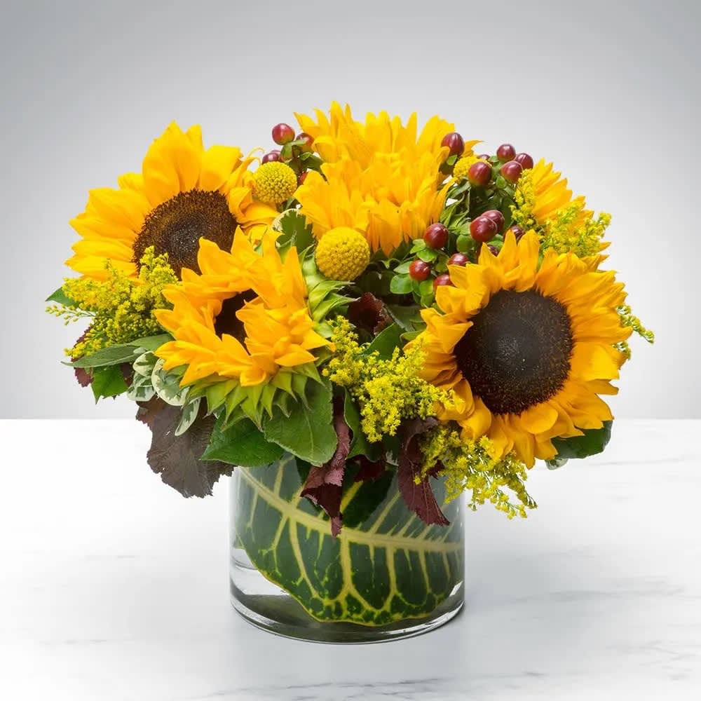 Memphis, Collierville Florist Flower Delivery - A Perfect Bloom Memphis