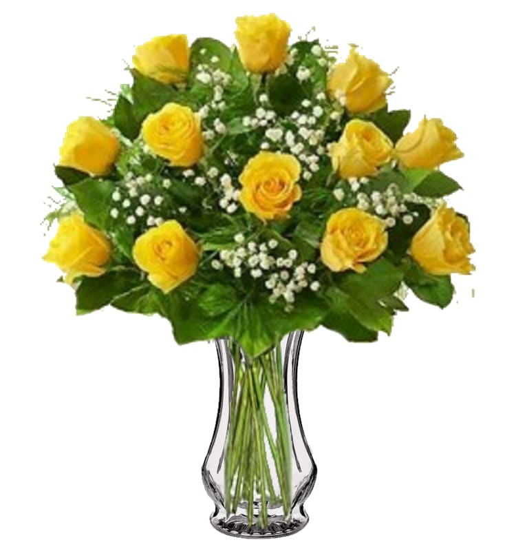 Roses Flower Delivery Colorado Springs CO - My Floral Shop