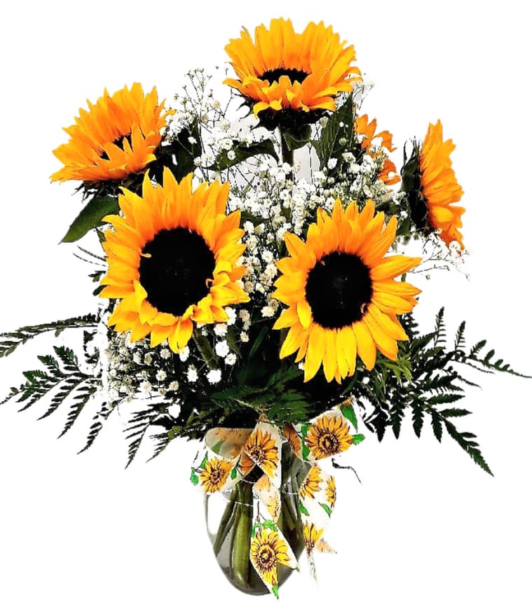 Tempe AZ Flower Shop | Fiesta Flowers Plants & Gifts