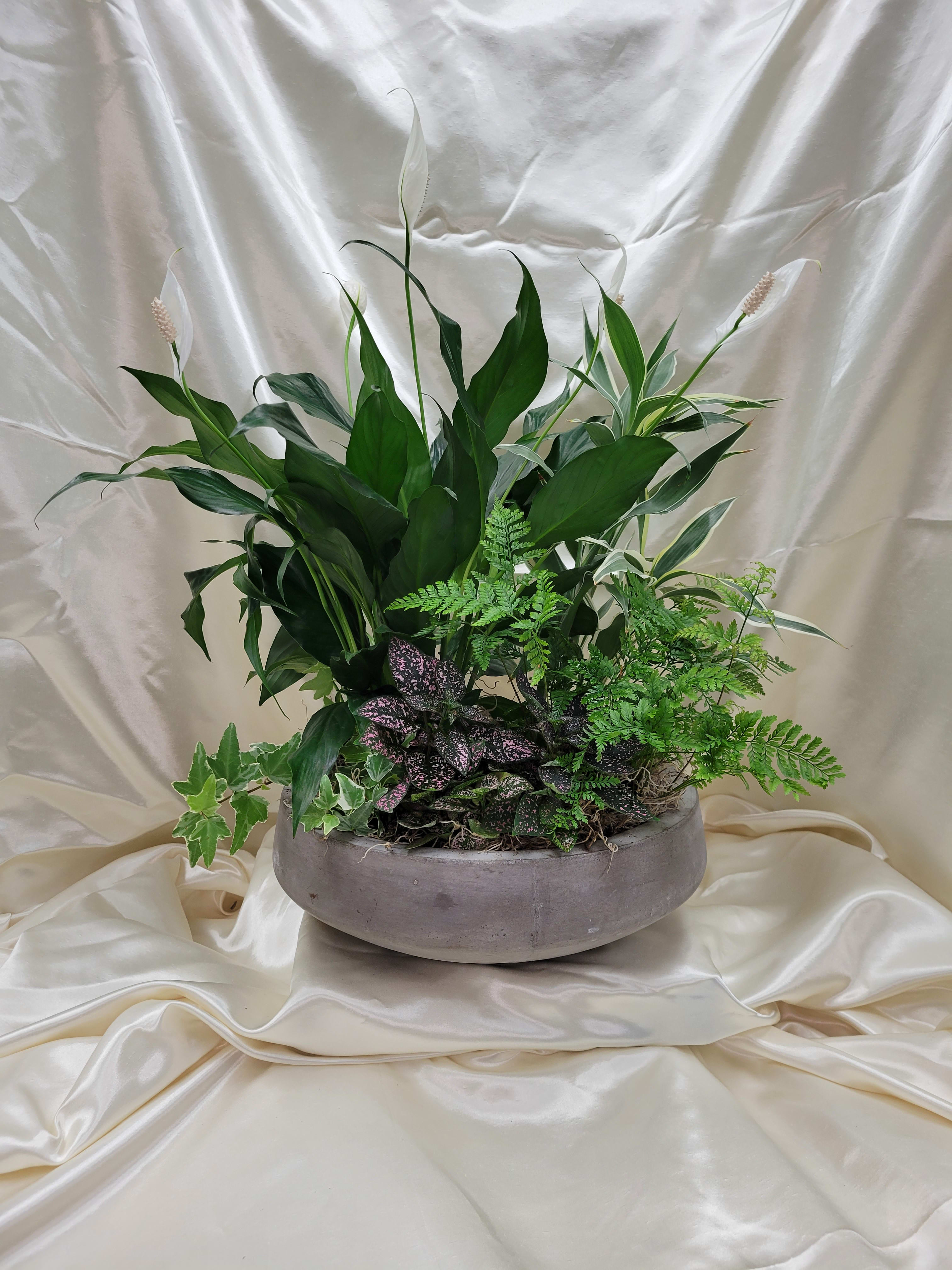 Mobile Florist - Flower Delivery by Cleveland the Florist