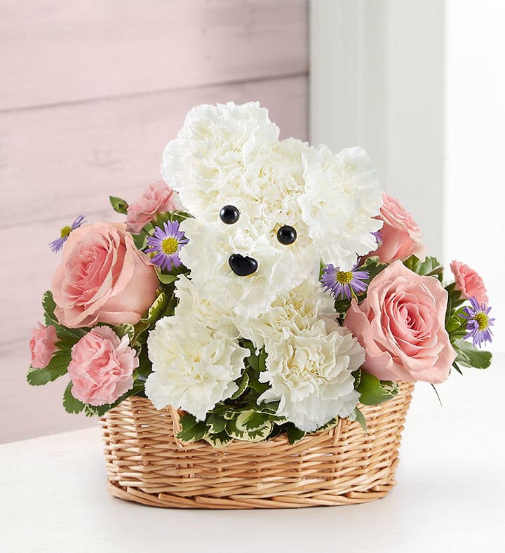 Flower Delivery: Order Flowers Online | Commack Florist
