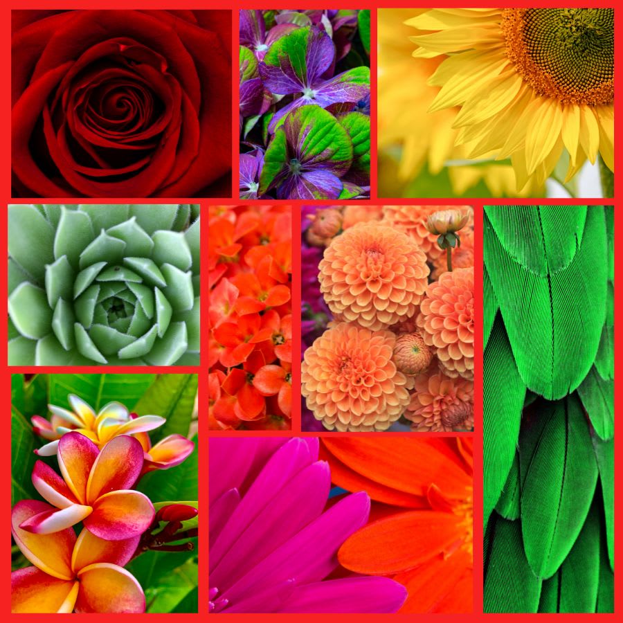 Best Florist in Mechanicsburg, PA | Flower Delivery in Mechanicsburg ...