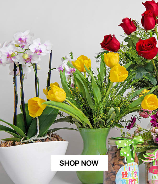 Memphis, Collierville Florist Flower Delivery - A Perfect Bloom Memphis
