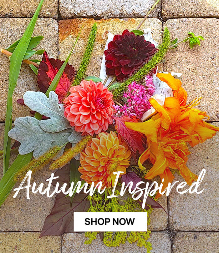 Cambridge Florist | Flower Delivery by Cambridge Floral