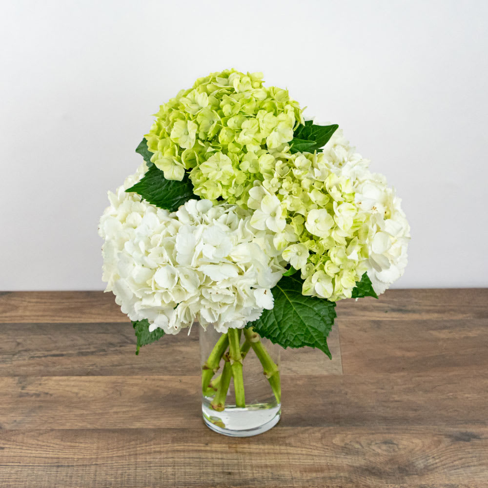 Memphis Florist | Flower Delivery Collierville, TN - A Perfect Bloom ...