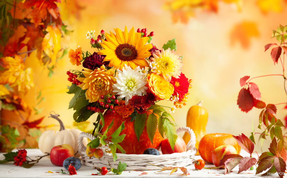 Florist West Palm Beach | Flower Delivery West Palm Beach FL by ...