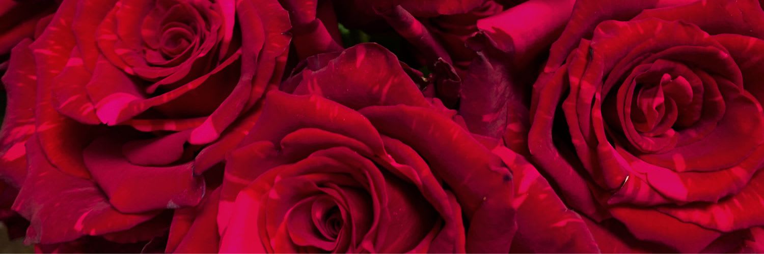 Best Florist in Mechanicsburg, PA | Flower Delivery in Mechanicsburg ...