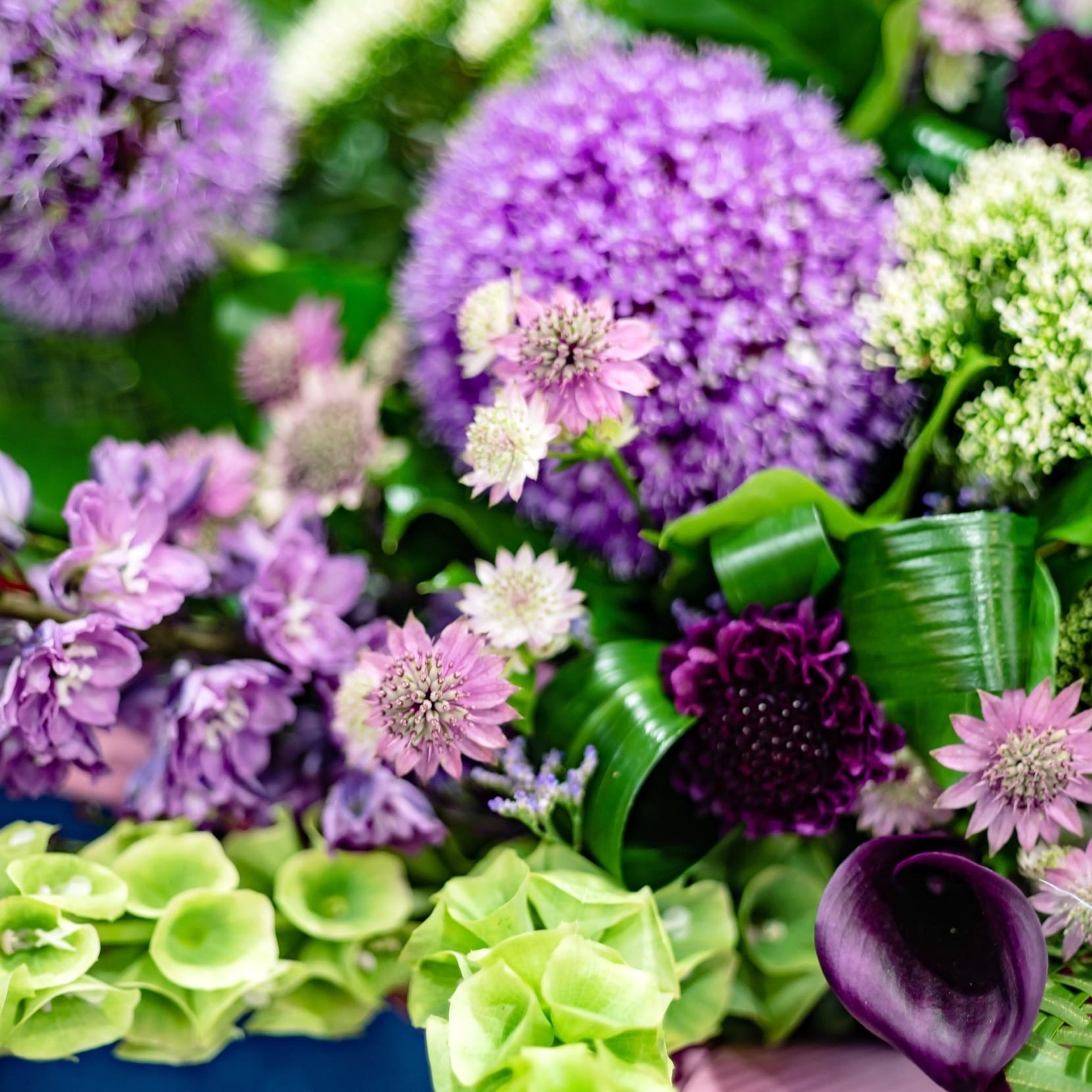 Designer's Choice Flower Delivery Taylors SC - Barrett's Flowers Inc