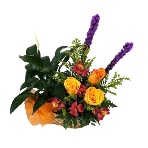Florist Tempe AZ -Fiesta Flowers, Plants & Gifts Tempe AZ
