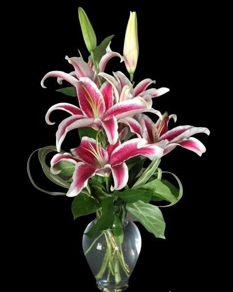 Spring Hill Florist | Flower Delivery Spring Hill TN by Wild Root ...