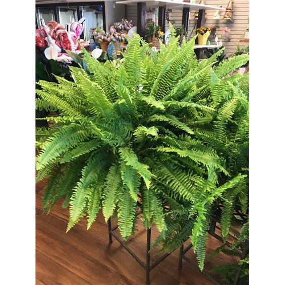 Flowerama St. Paul | Local Florist | Saint Paul, MN