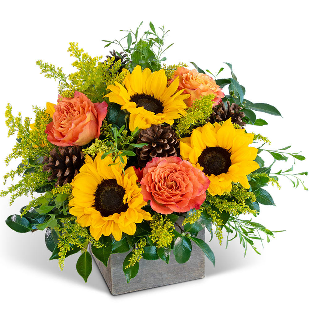 Bloomfield NY Florist - SAME-DAY Flower Delivery in Bloomfield NY ...
