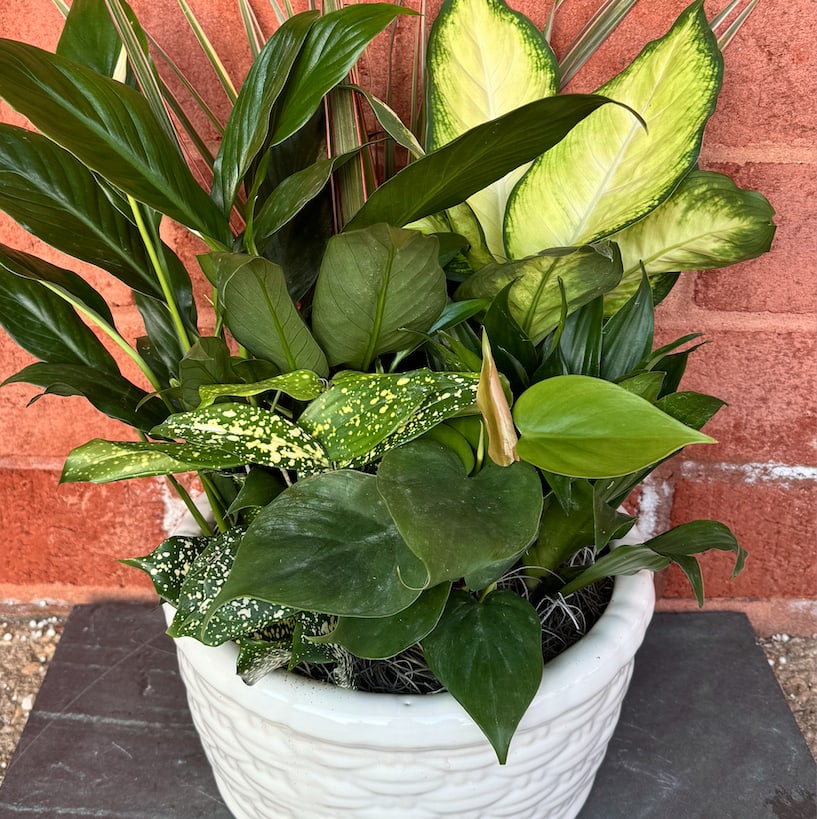 Newark Florist | Flower Delivery Newark by Kirk's Flowers