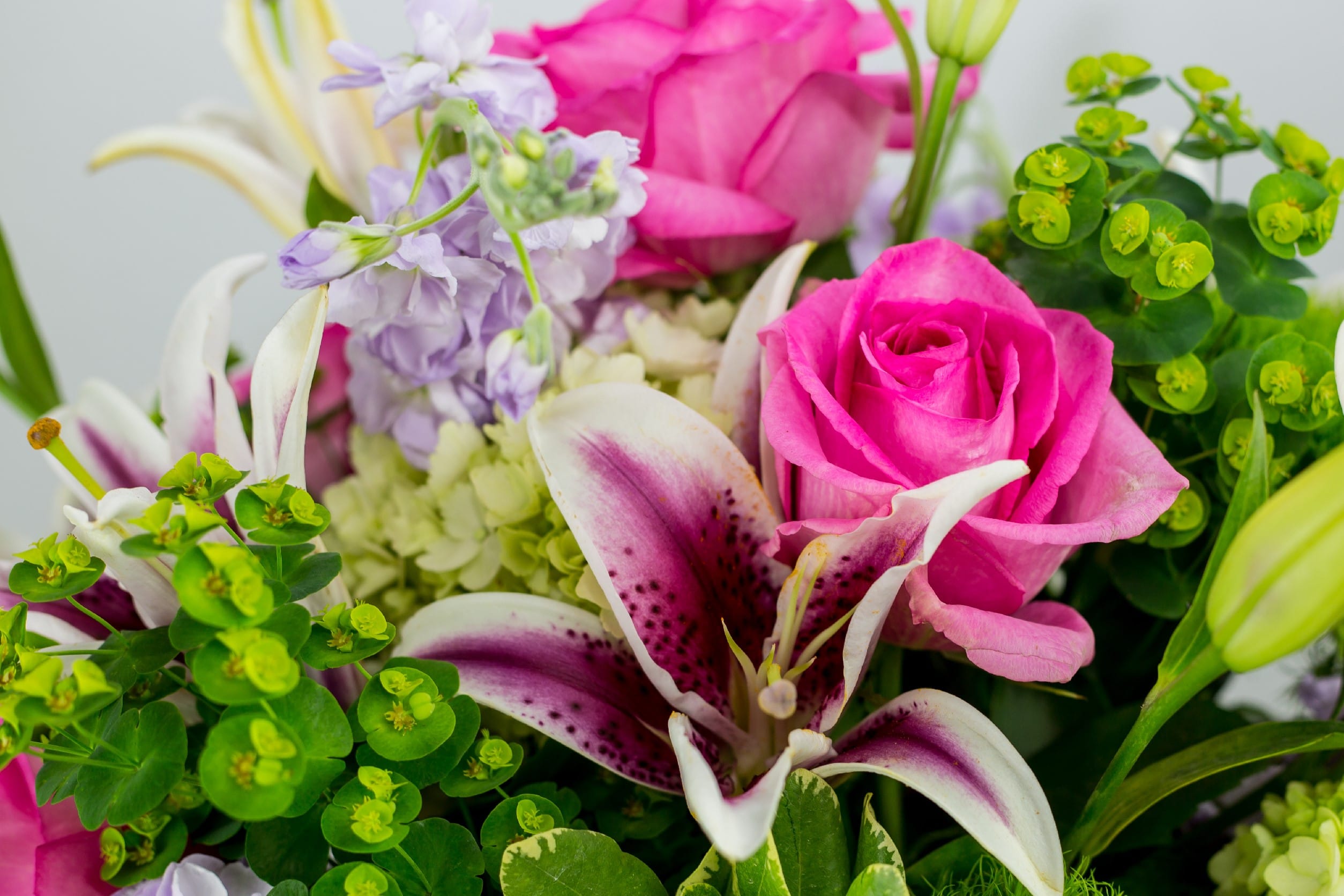 Alexandria VA Florist | Alexandria Flower Delivery by Foxglove Flowers LLC