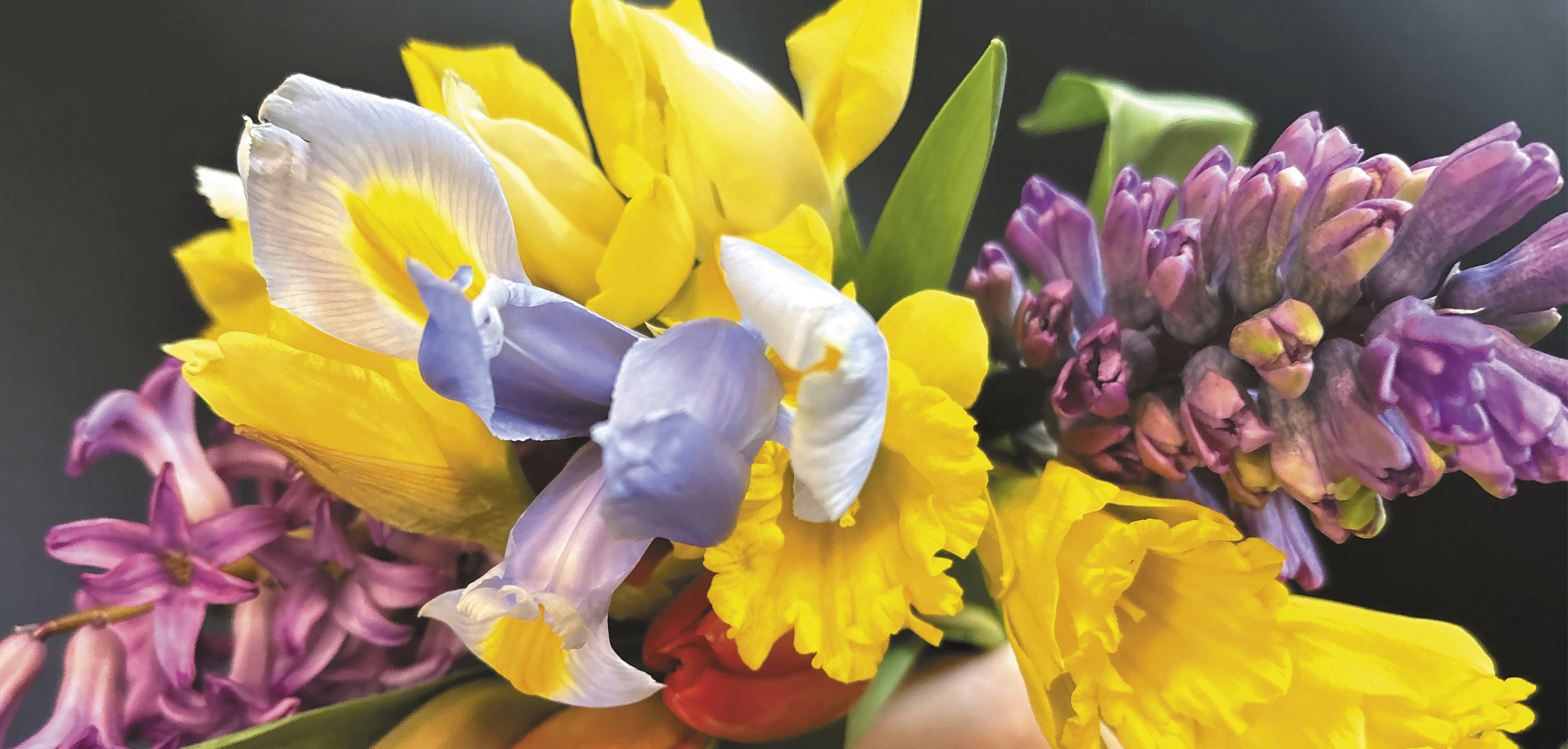 Gibby Floral | Occasions, Home, and Garden since 1956