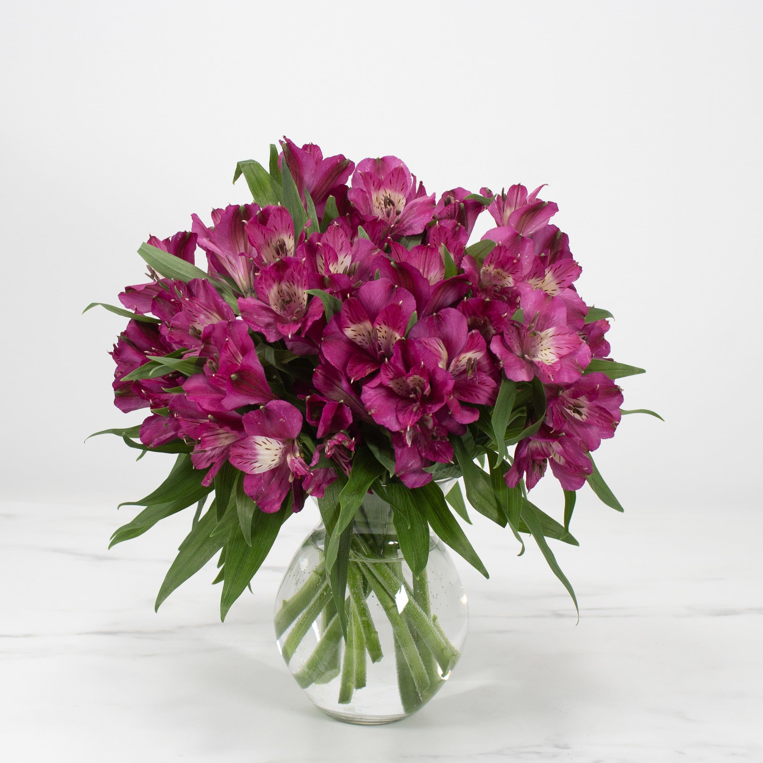 Florist West Chester PA - Flower Delivery In West Chester PA