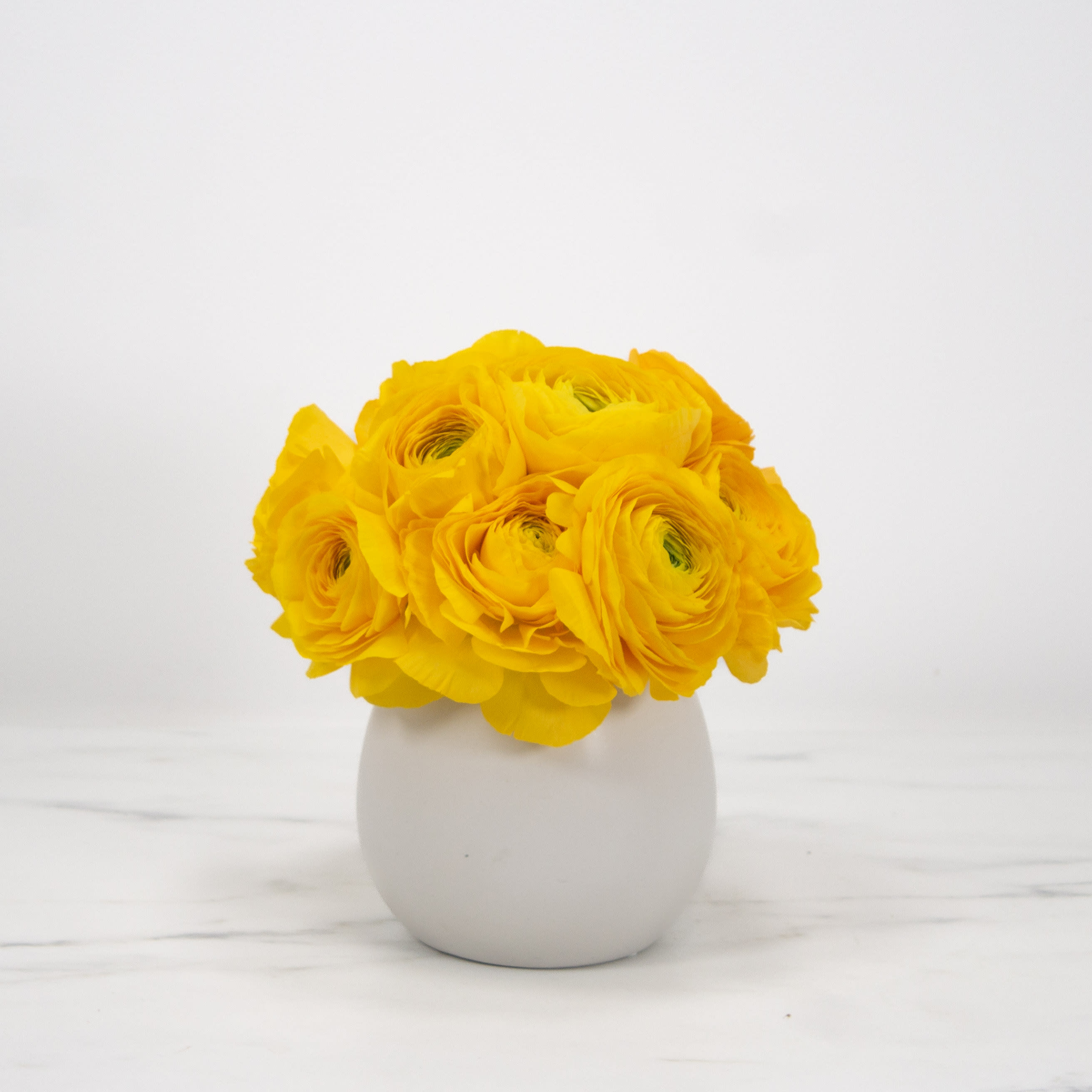 Florist West Chester PA - Flower Delivery In West Chester PA