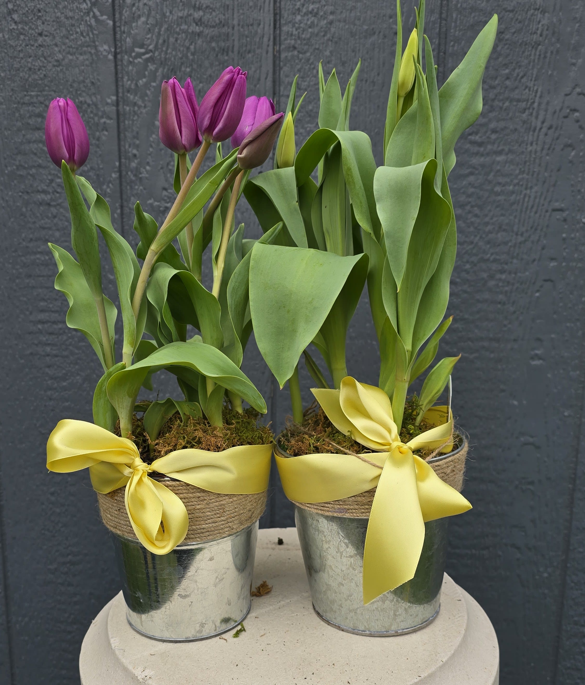 Alexandria VA Florist | Alexandria Flower Delivery by Foxglove Flowers LLC