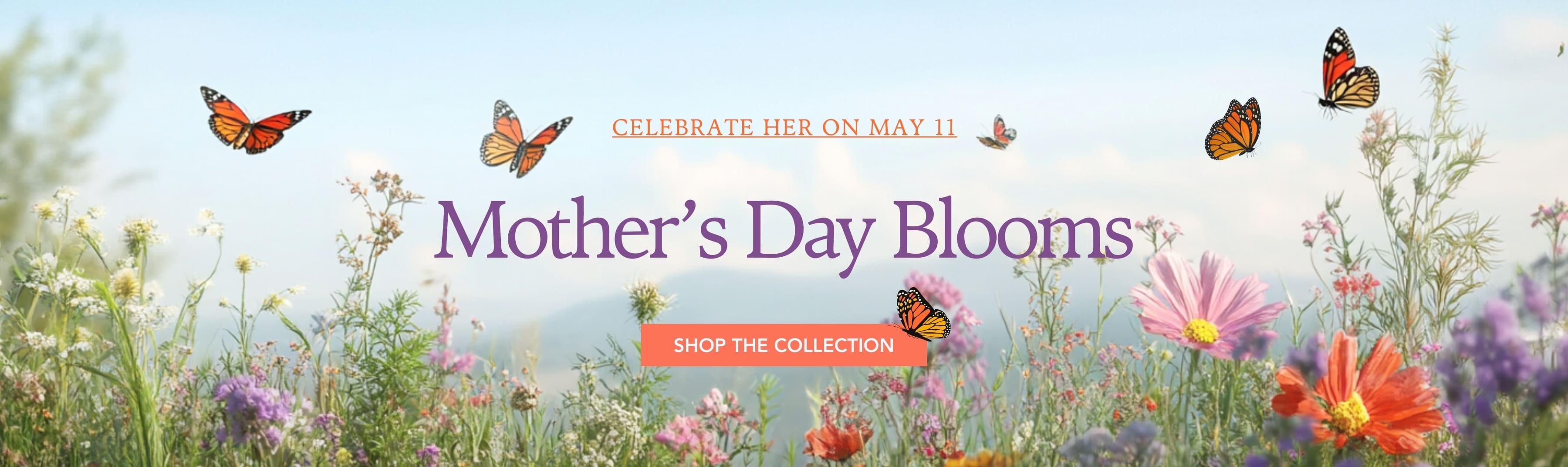 Madison Florist - Flower Delivery by Miller's Florist