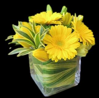 Grand Rapids MI Florist - Daylily Floral