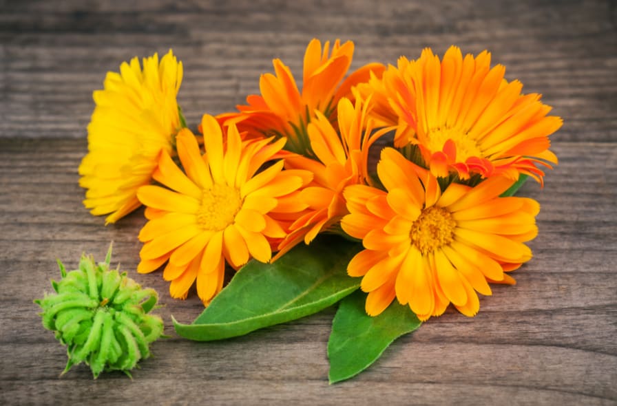 what does orange flowers represent