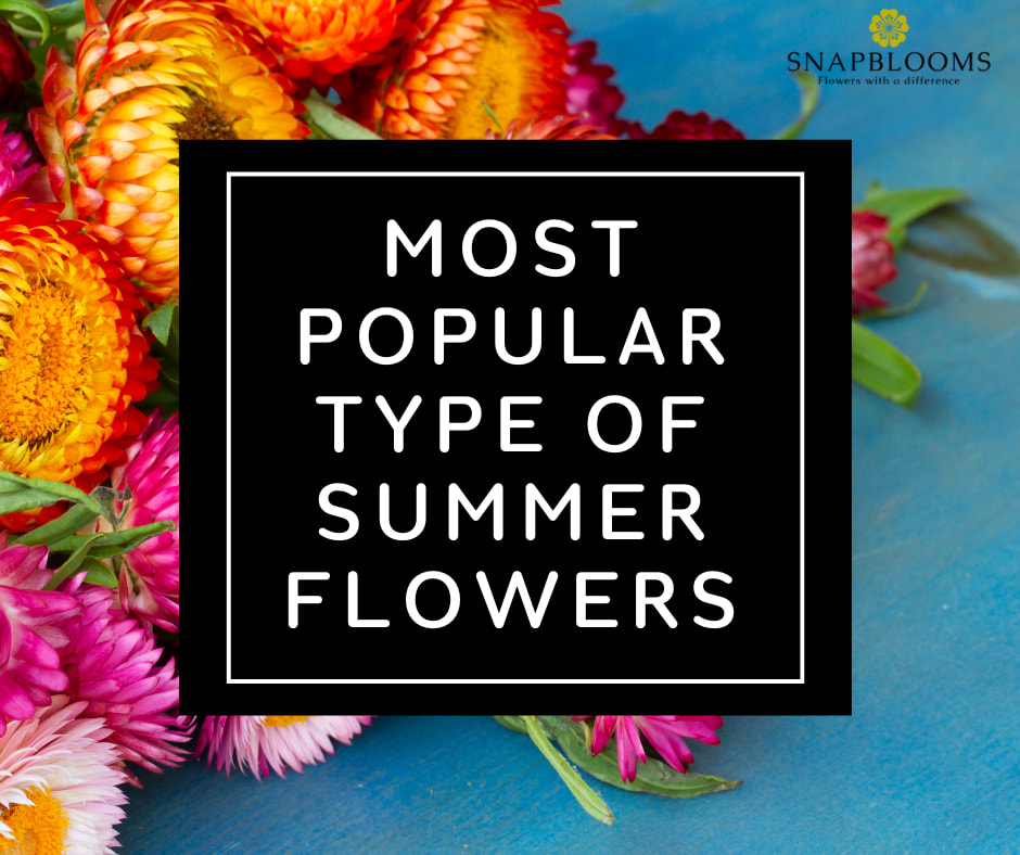 Most Popular Type of Summer Flowers - SnapBlooms Blogs