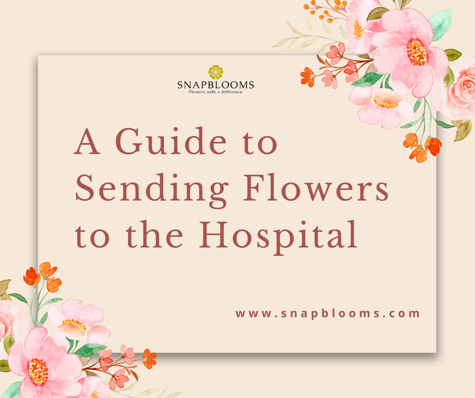 A Guide to Sending Flowers to the Hospital - SnapBlooms Blogs A Guide to Sending Flowers to the Hospital - SnapBlooms Blogs
