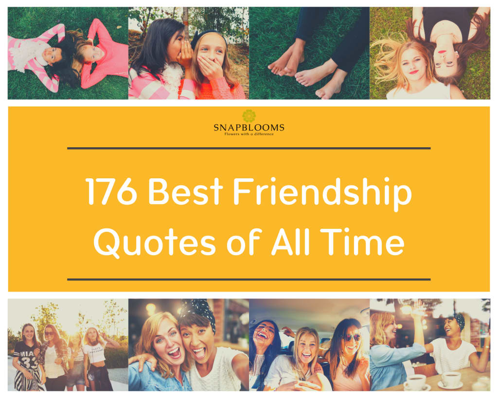 176 Best Friendship Quotes of All Time - SnapBlooms Blogs