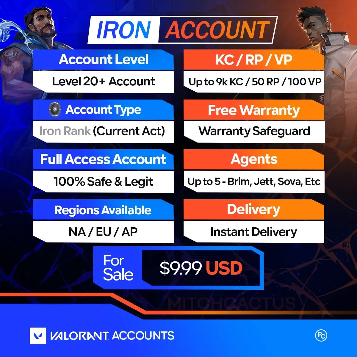 Valorant Accounts For Sale With Skins - Instant Delivery Smurfs