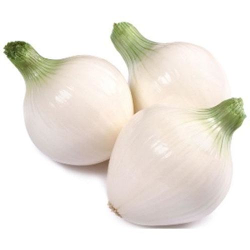 FRISCO ORGANIC Cebula młoda BIO 1 kg - Frisco.pl