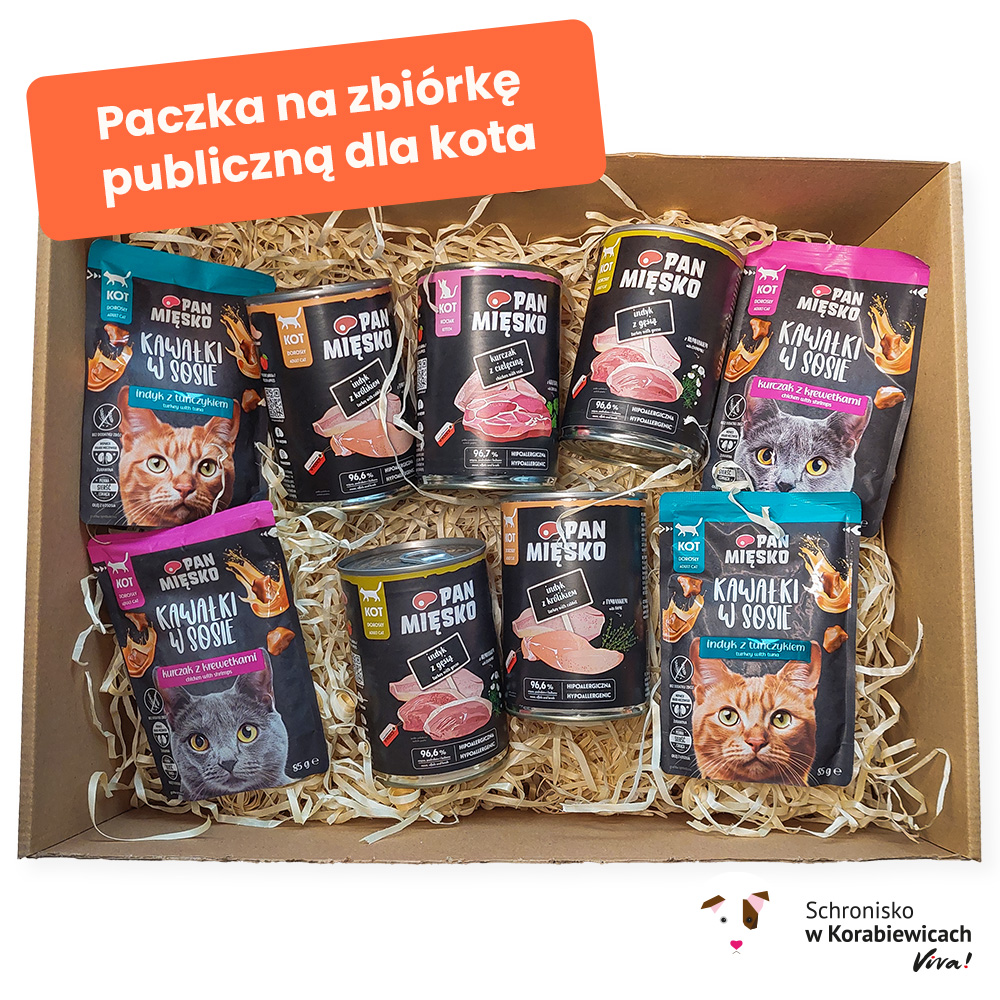 FRISCO BOX na zbiórkę publiczną dla kota - Schronisko Viva! 1 szt ...