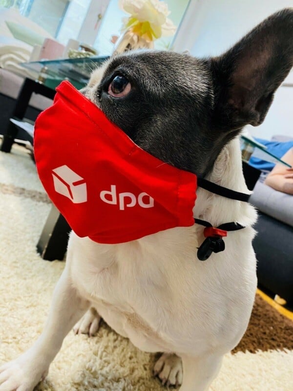 DPD Hungary - DreamJo.bs