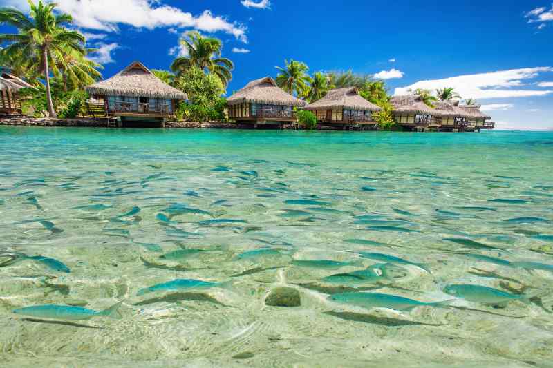 French Polynesia Fun Facts