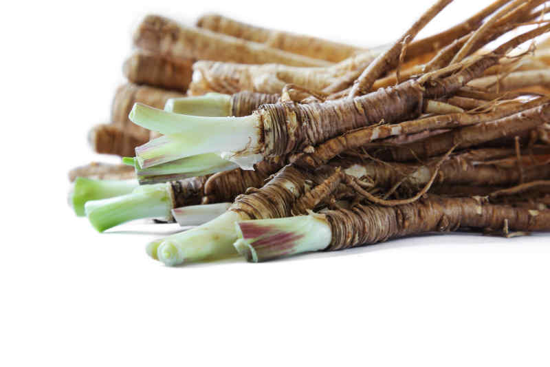 The Health Benefits of Asia's Medicinal Plants