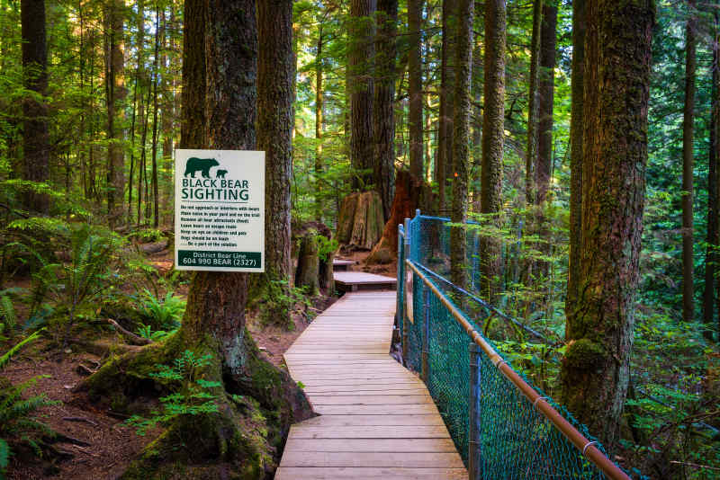 10 Sensational Photos of British Columbia That Will Make You Pack Your Bags