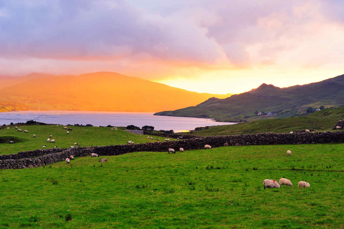 2026 Trips & Tours to Ireland | Vacation Packages w/ Airfare