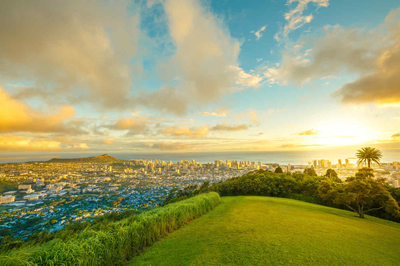 The Best Things to do in Hawaii During the Holidays
