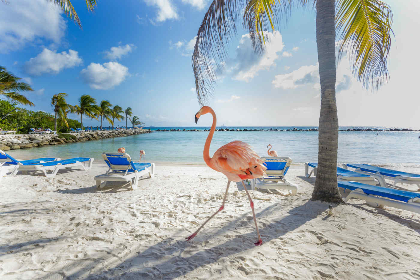 Aruba Vacation & Tour Packages Inclusive of Airfare & Hotel